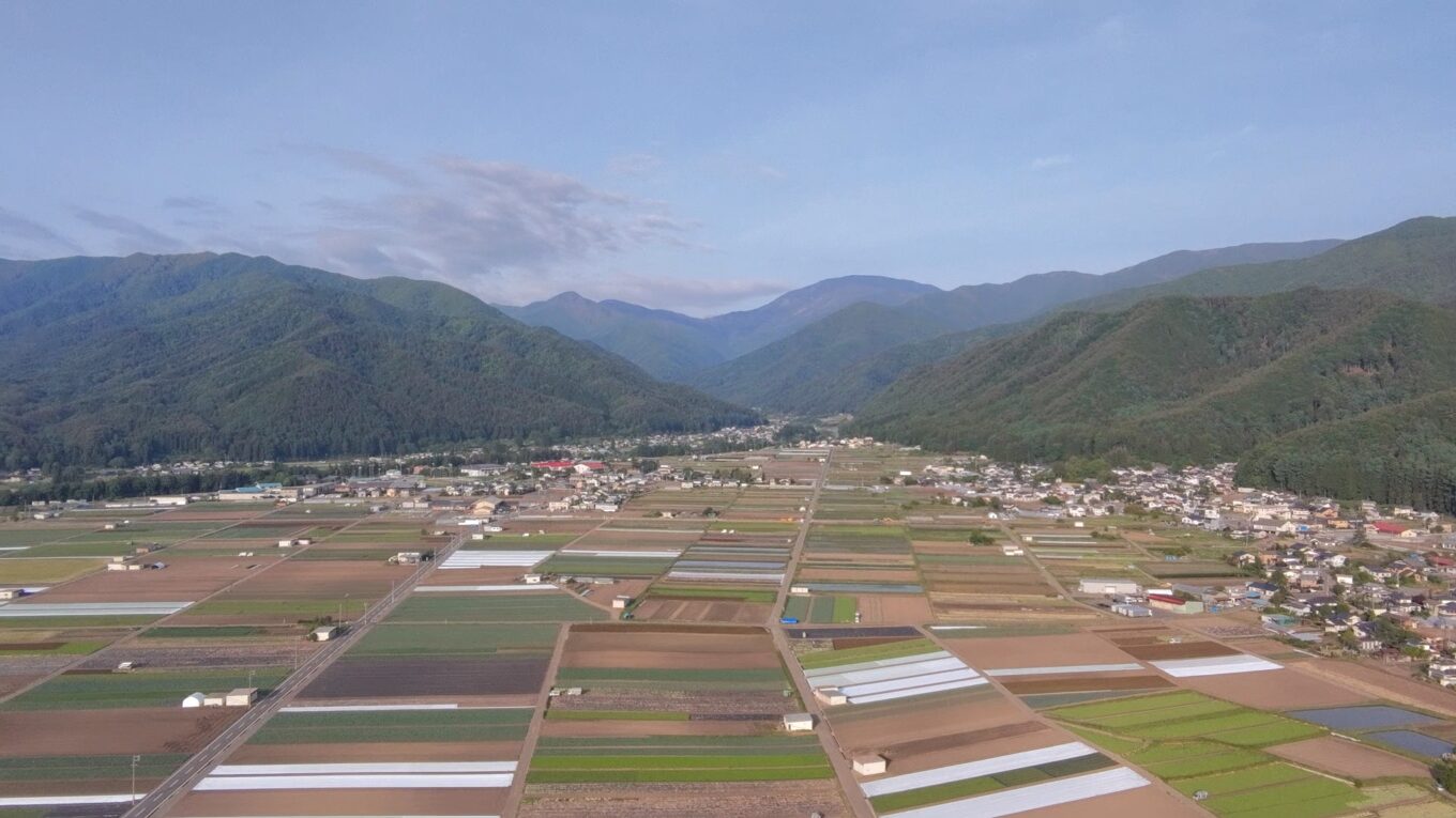 上空からのキャンプ場